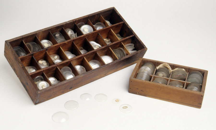 Box – Dominy Collections